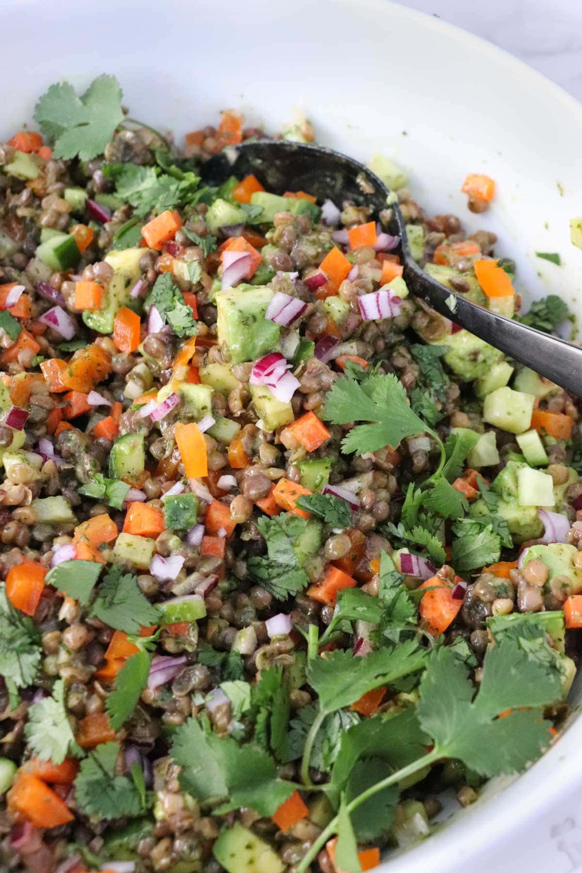 Easy Cold Lentil Salad with Cilantro Curry Vinaigrette - Cooking with Conks