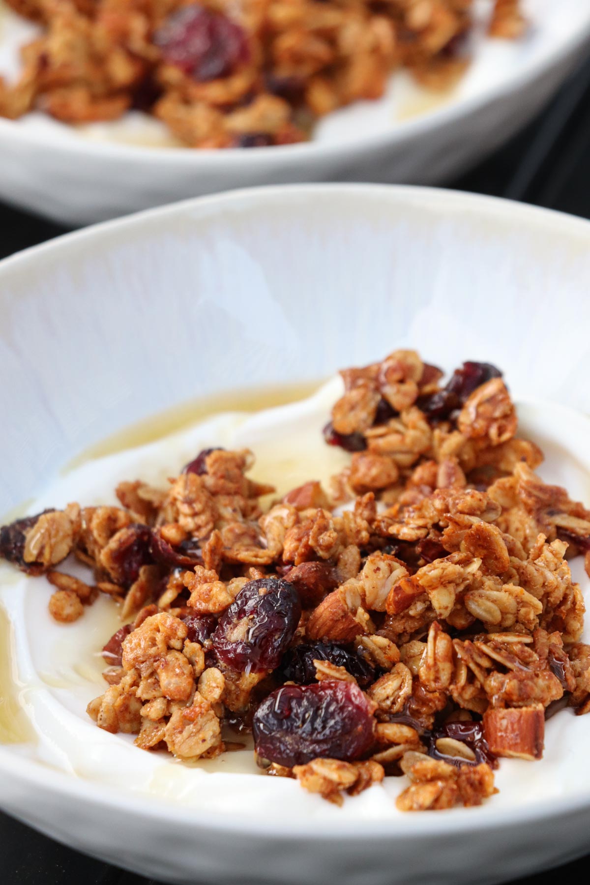 Homemade Cranberry Orange Almond Granola - Cooking with Conks